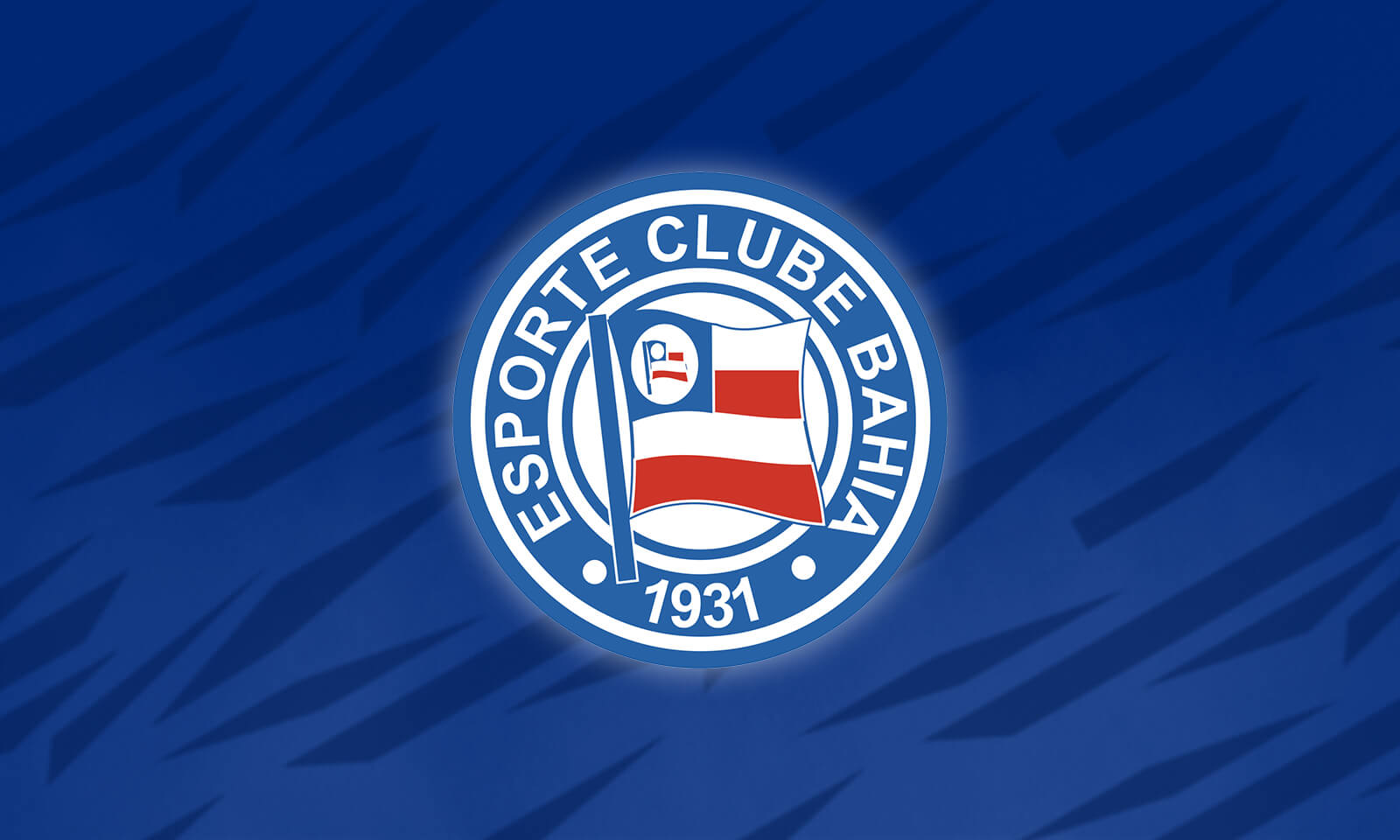 Veja tudo sobre o Esporte Clube Bahia