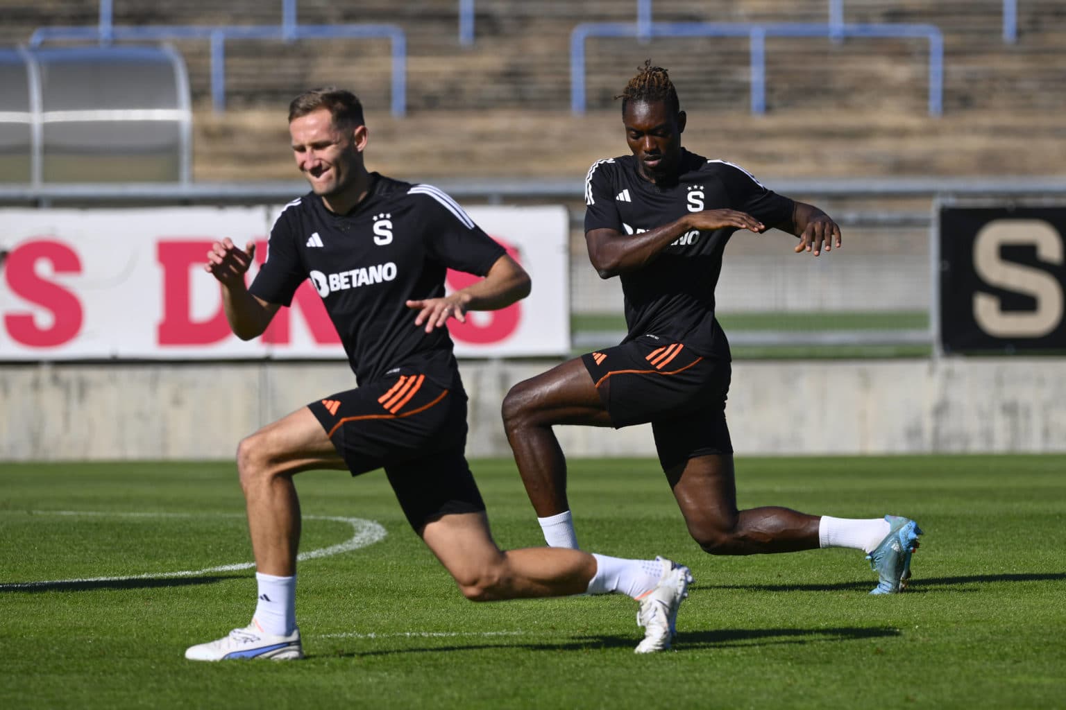 Apostas esportivas: entenda os termos Lay e Back